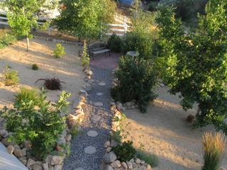 19 Best Desert Landscaping Plants for Nevada