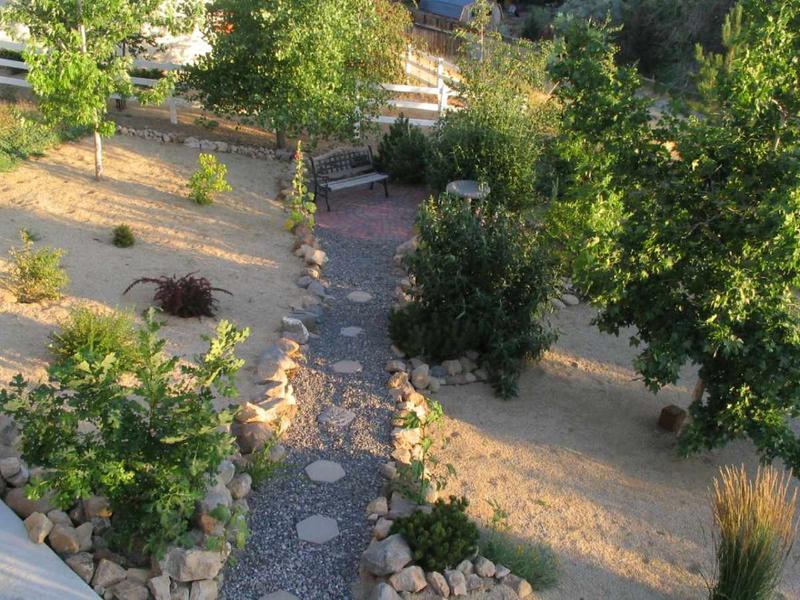 19 Best Desert Landscaping Plants for Nevada