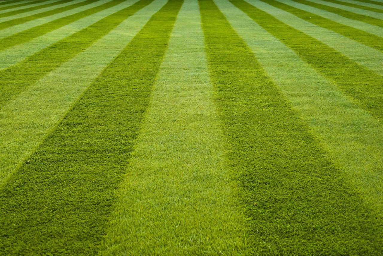 How to Stripe a Lawn in 6 Steps | Wikilawn