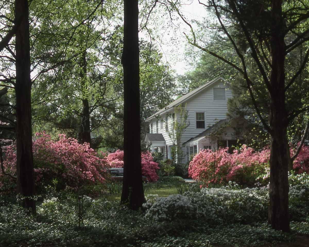 11 Best Native Plants for Columbia, South Carolina