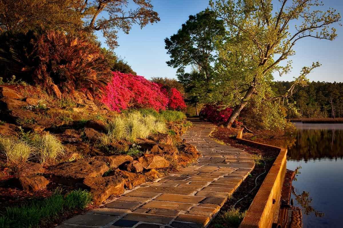 8 Low-Maintenance Landscaping Ideas for Alabama