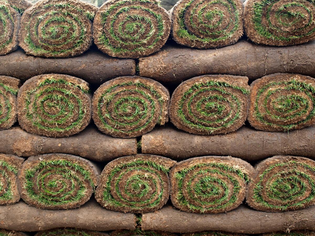 How to Lay Sod in 5 Easy Steps | Wikilawn