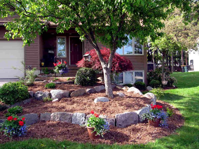 8 Low-Maintenance Landscaping Ideas for Dallas | Wikilawn