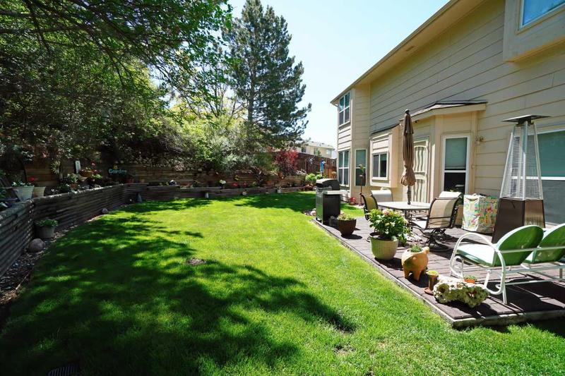 6 Best Grass Types for Colorado Springs