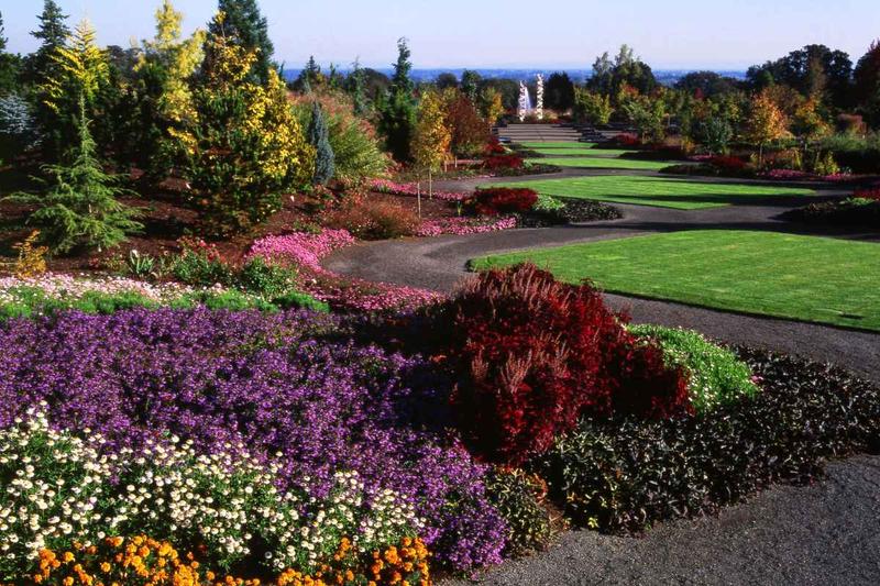 11 Best Native Plants for the Pacific Northwest