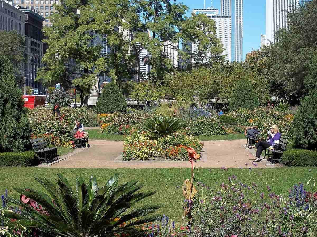 15 Native Plants for Illinois Landscapes