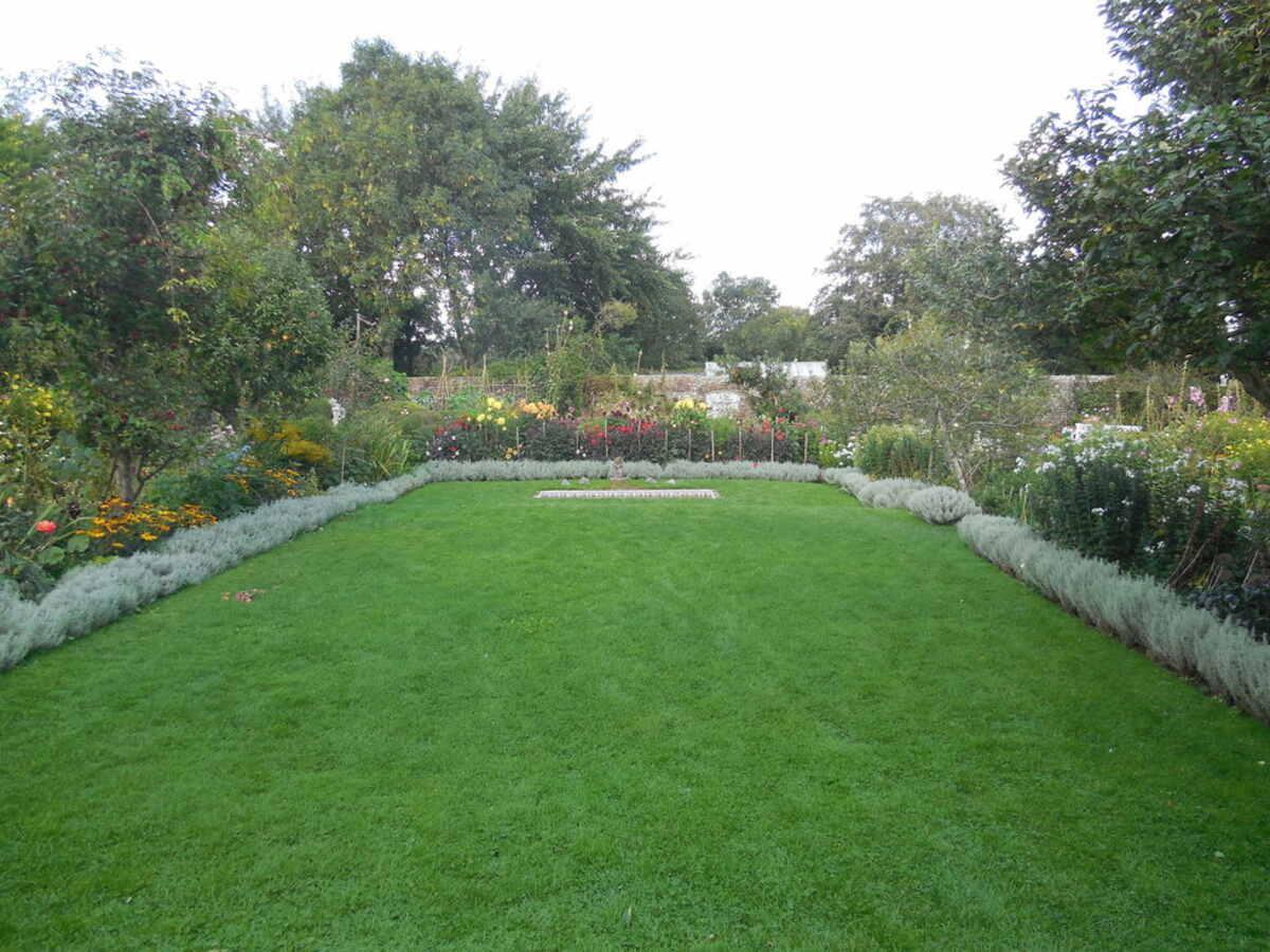 5 Best Grass Types for Charleston, SC | Wikilawn