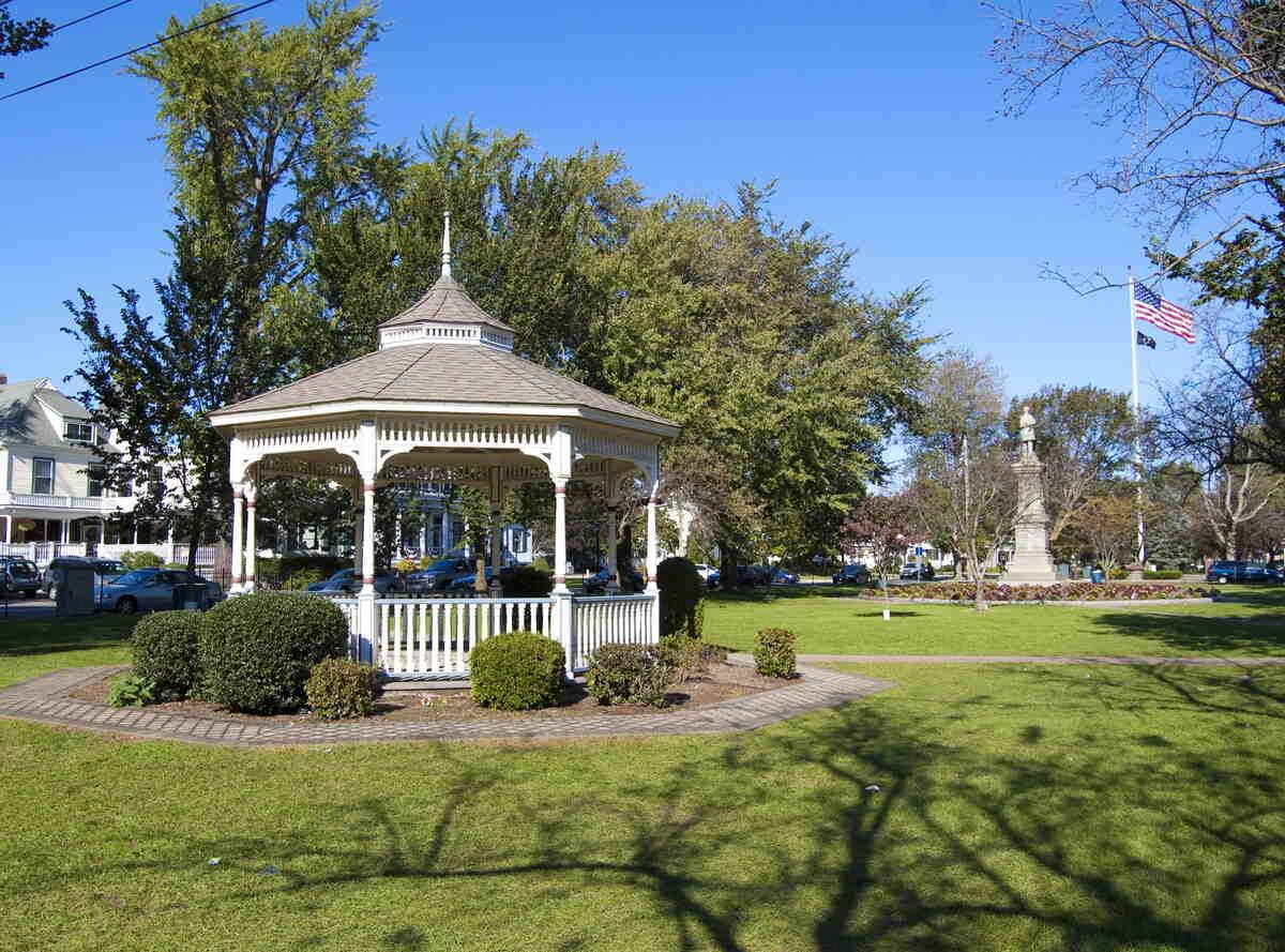 5 Best Grass Types for Connecticut | Wikilawn