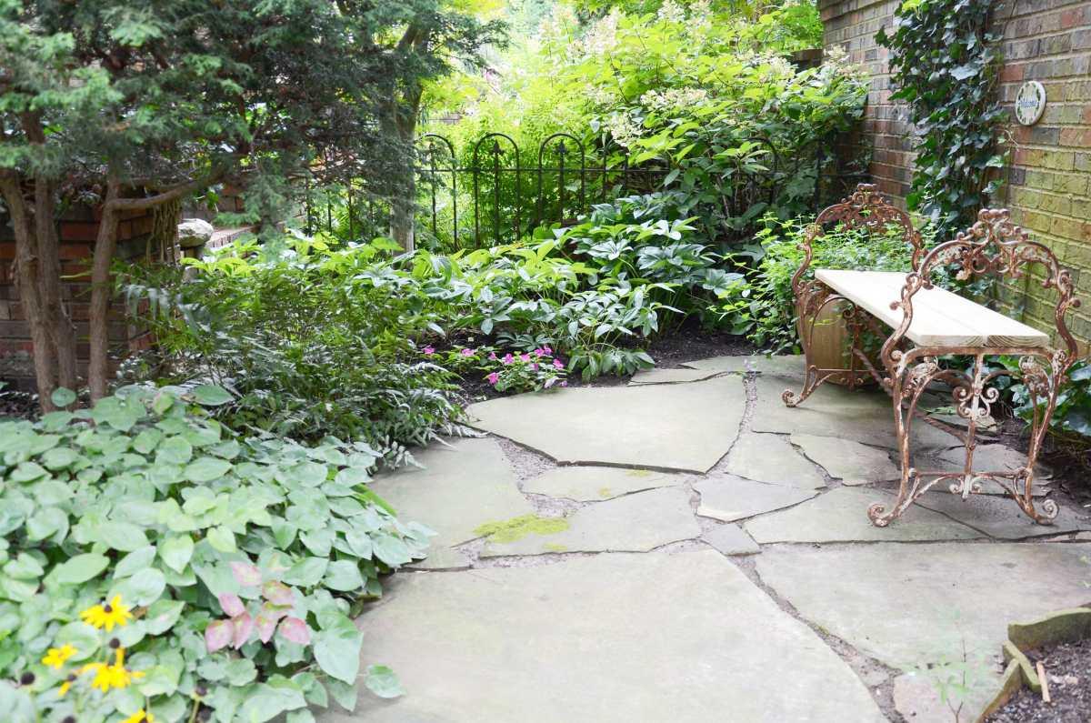 Best Native Plants for Nashville, TN