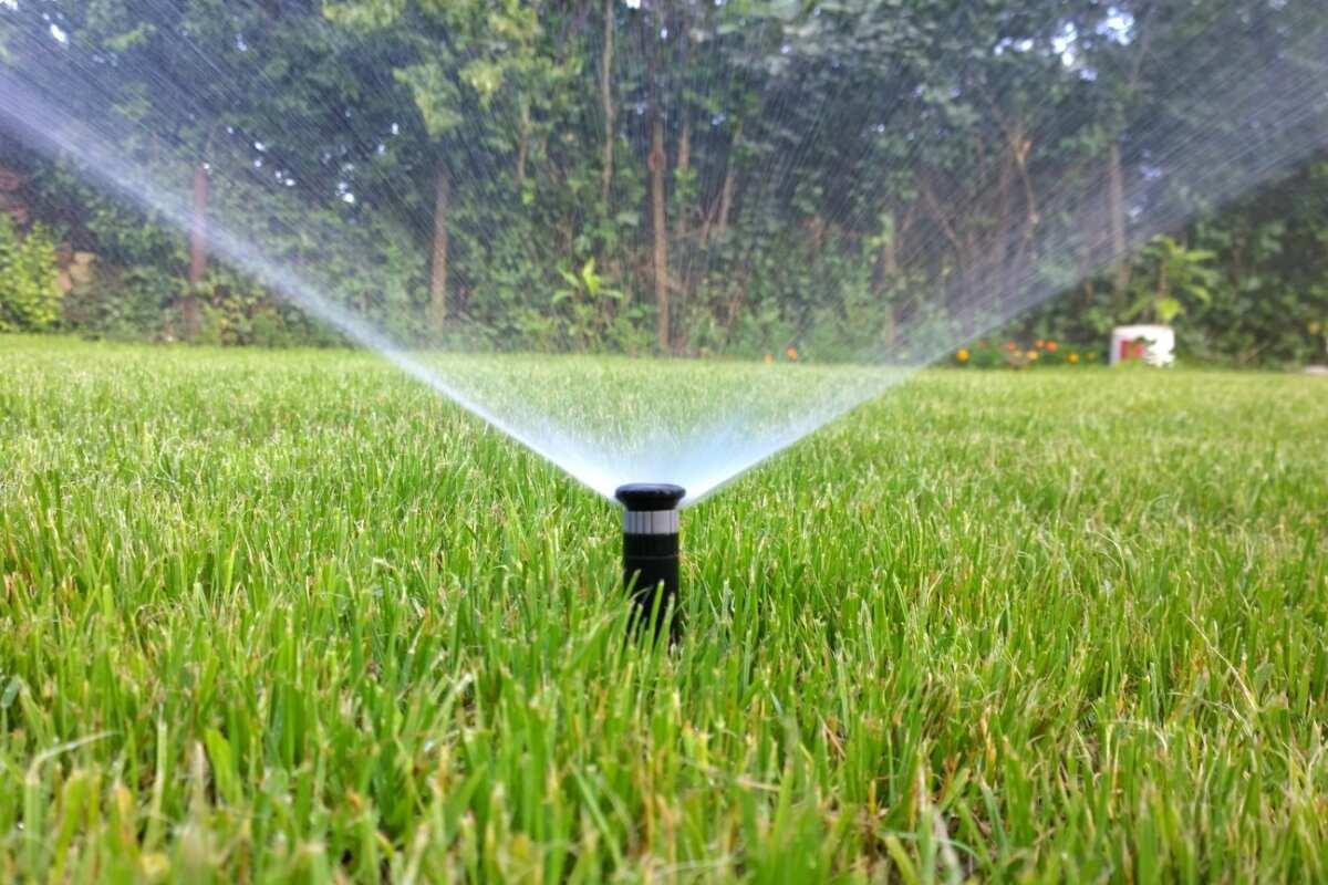When to Water the Lawn After Applying Weed and Feed | Wikilawn