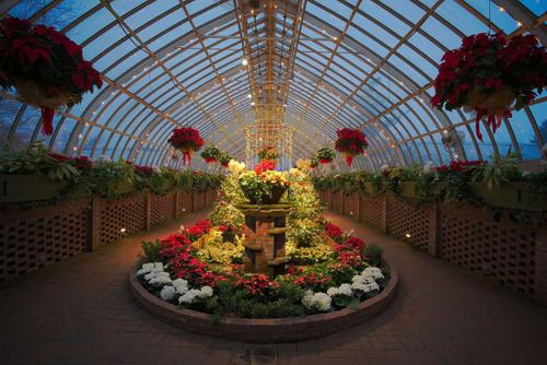 11 Best Native Plants for Pittsburgh