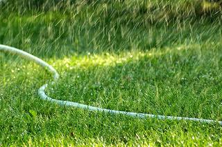 A Comprehensive Guide to Watering Austin, TX Lawns | Wikilawn
