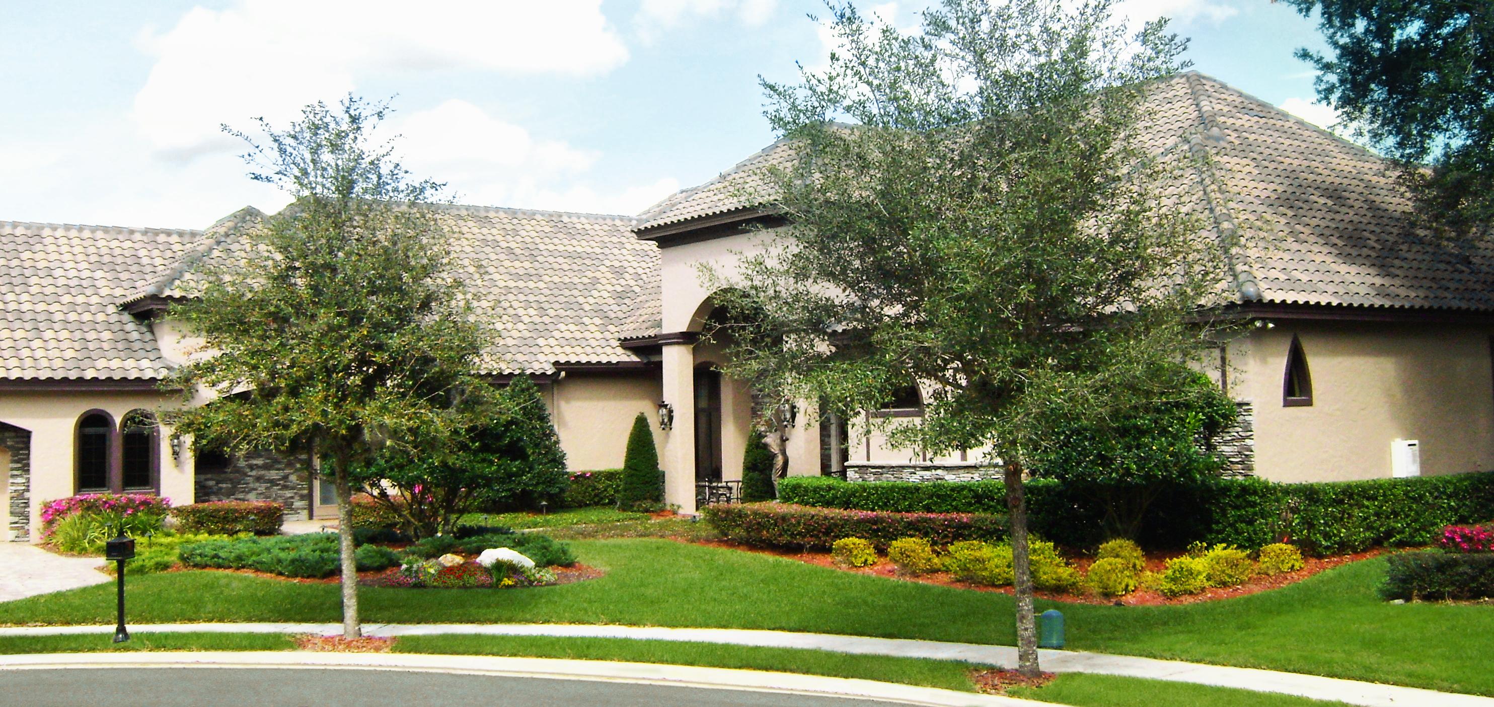 Here Are 5 Plants Perfect for Your Orlando Landscape | Wikilawn