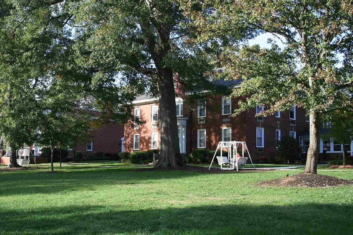 6 Best Grass Types for South Carolina | Wikilawn