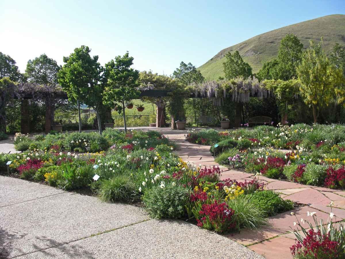 9 Best Drought-Tolerant Plants for Utah Landscaping