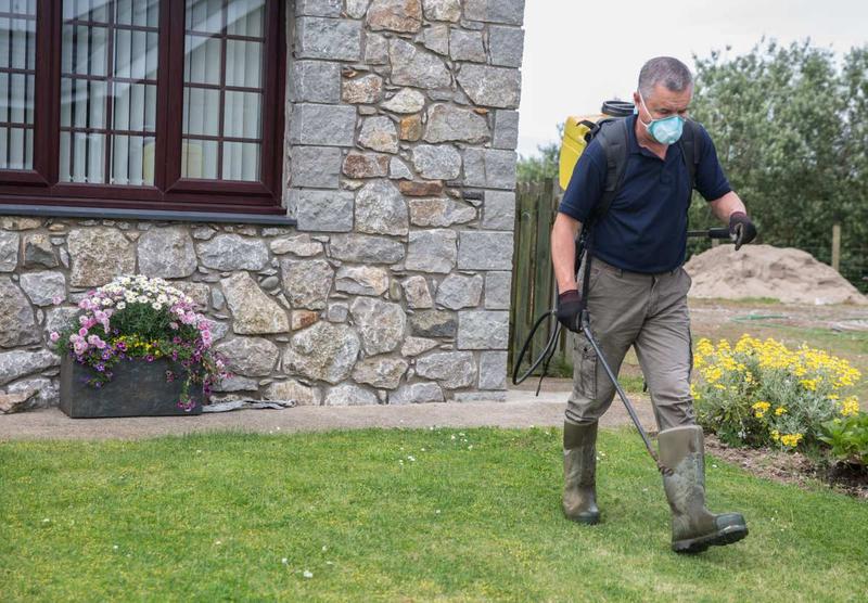 How and When to Apply Pre-Emergent Herbicides | Wikilawn