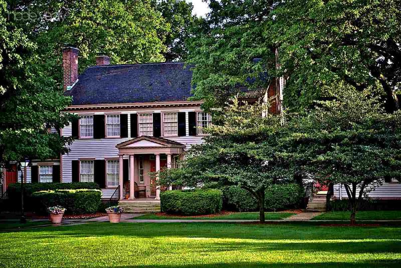 4 Best Grass Types For Dearborn, Michigan | Wikilawn