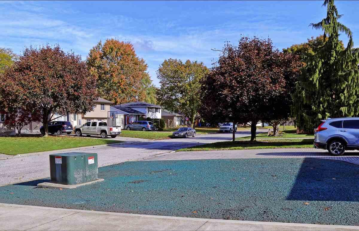 What is Hydroseeding? | Wikilawn