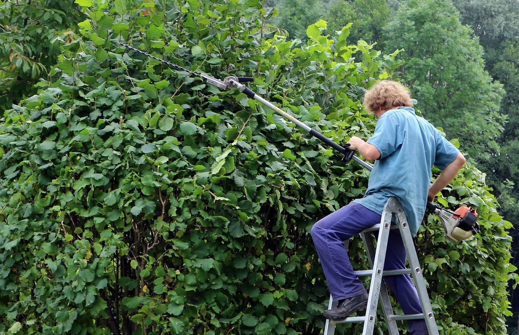 Yard Work Safety | Wikilawn