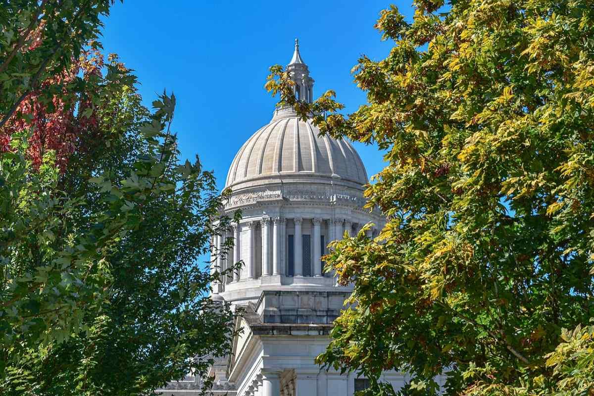 8 Trees Native to Washington State