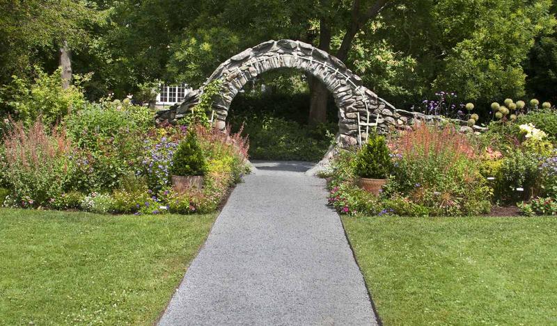 8 Best Native Plants for Rhode Island
