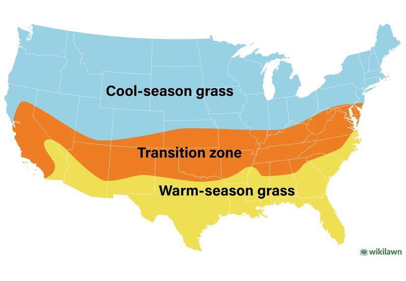 Guide to Warm-Season Grasses