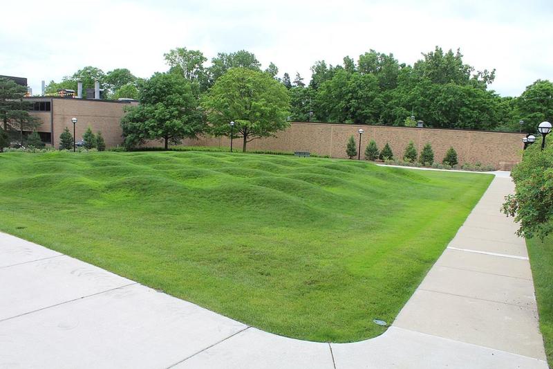 5 Best Grass Types for Michigan