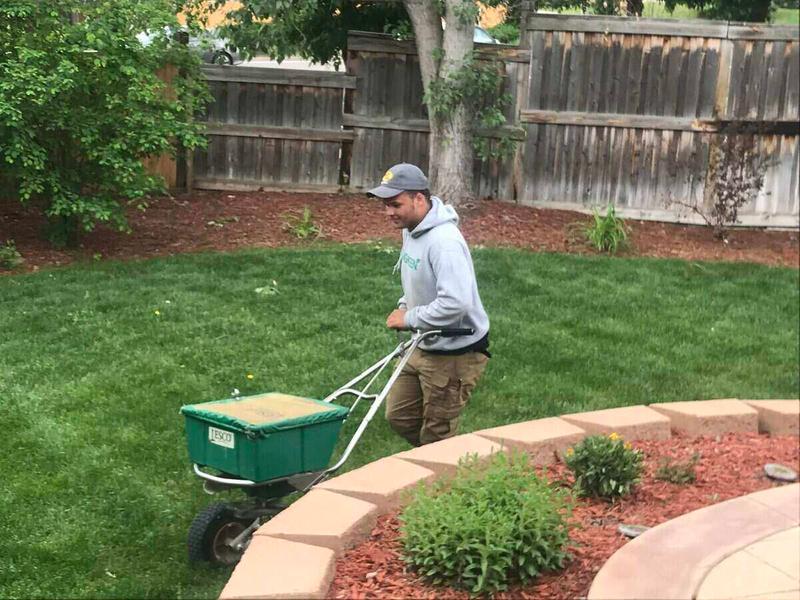 How to Overseed a Lawn | Wikilawn